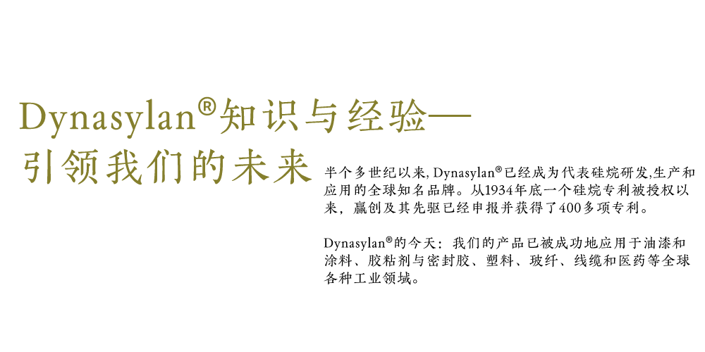 赢创-Dynasylan®系列 硅氧烷系列产品 - 上海沐影贸易有限公司